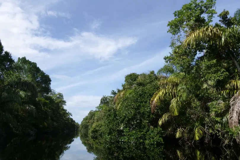 Individuele reis Costa Rica | 100% op maat