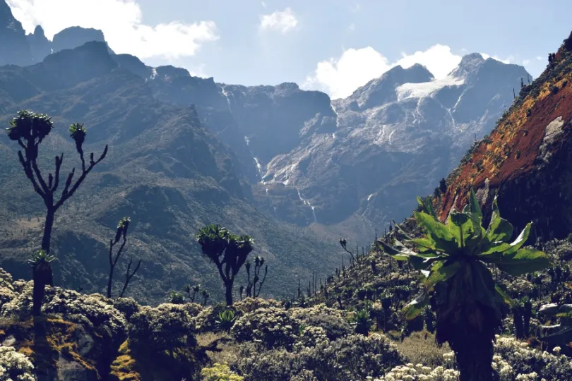 Oeganda bezienswaardigheden | Better Places