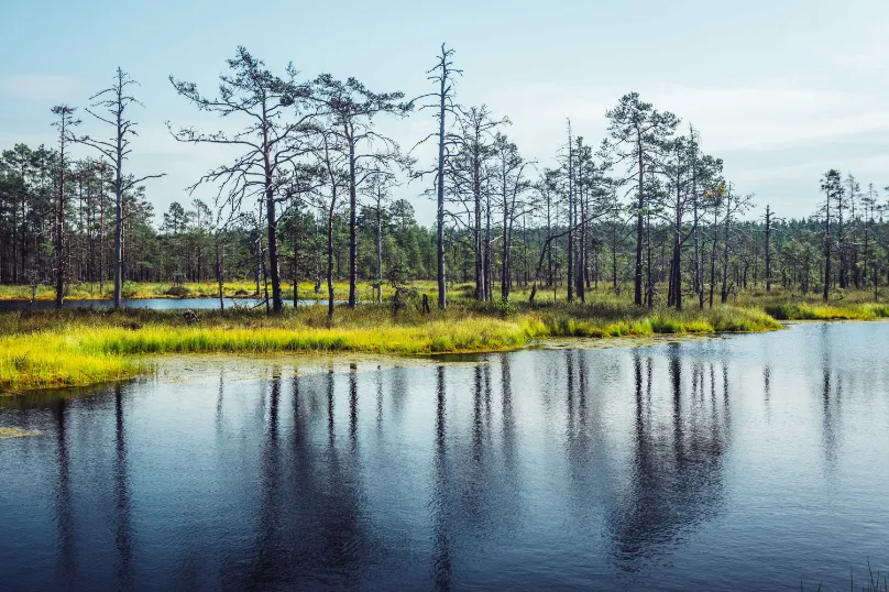 Wat zijn de Baltische Staten? | Unieke mix van landen