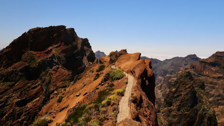 Rondreis Madeira 14 dagen | Better Places